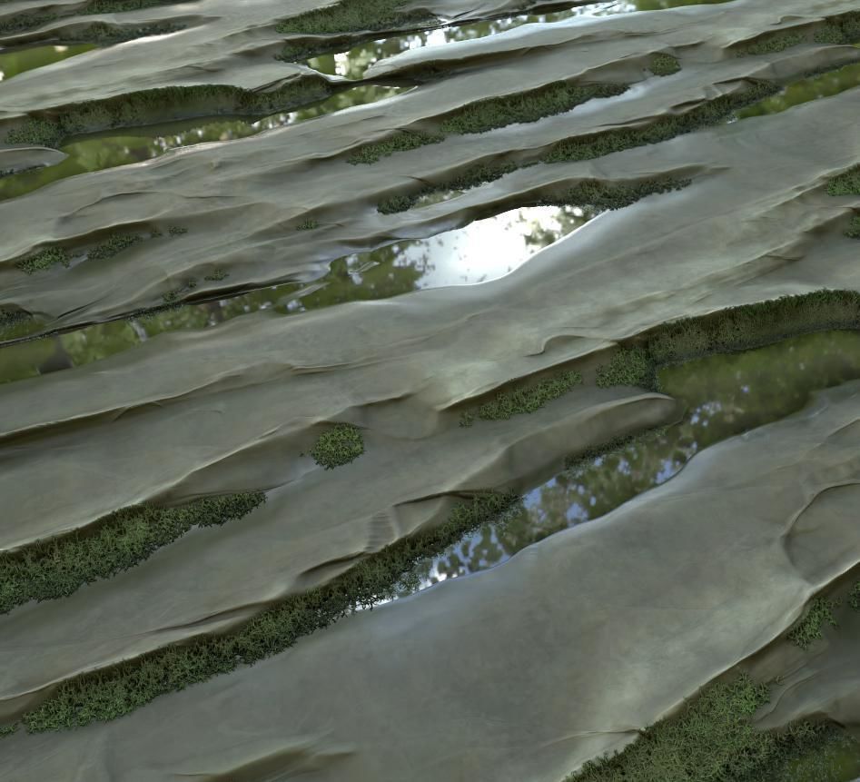 Wet Mossy Rock - SBSAR - PNG - 4K - Seamless - 2 Variations Texture ...