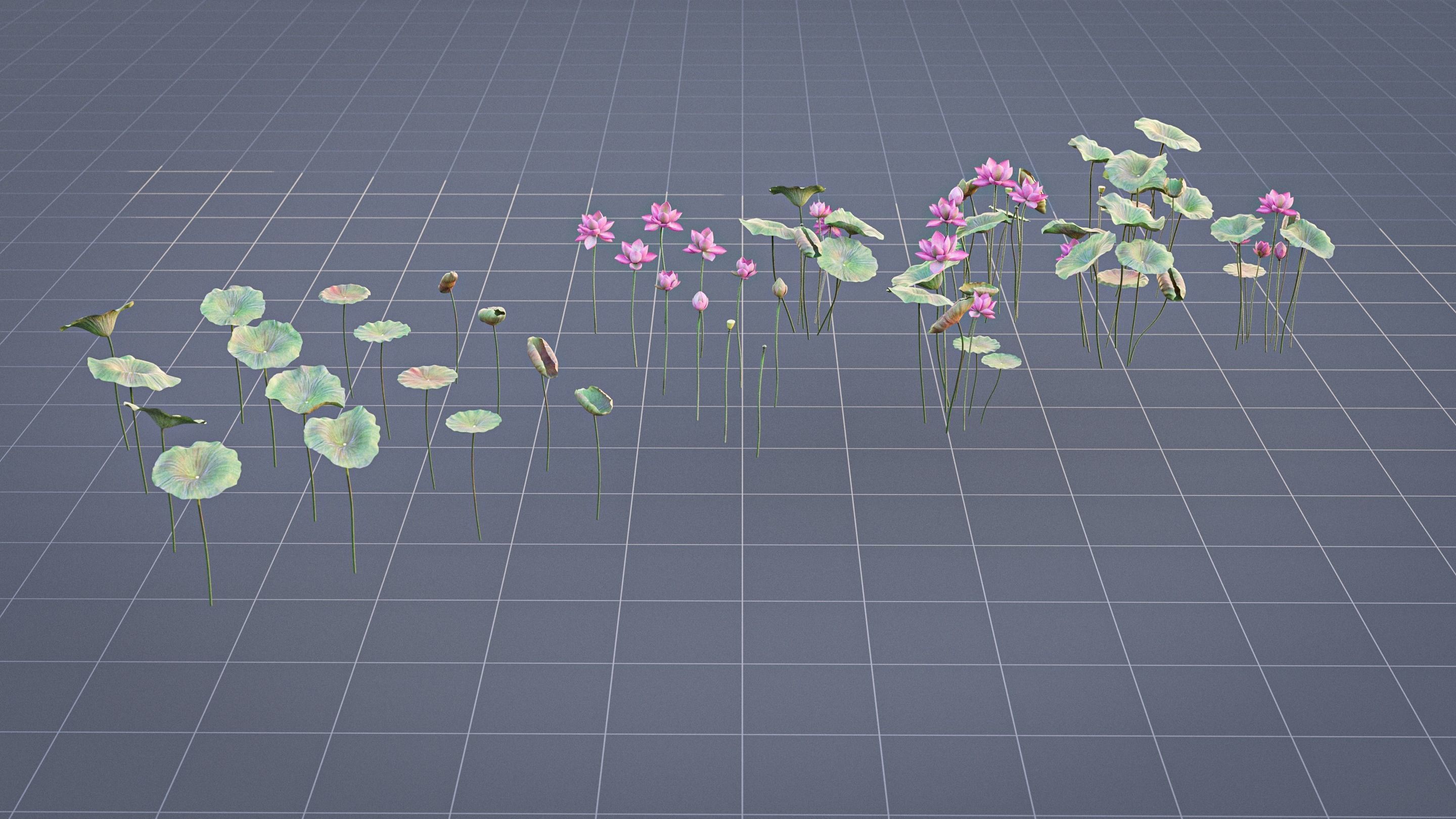 3D model Realistic Lotus Art VR / AR / low-poly | CGTrader