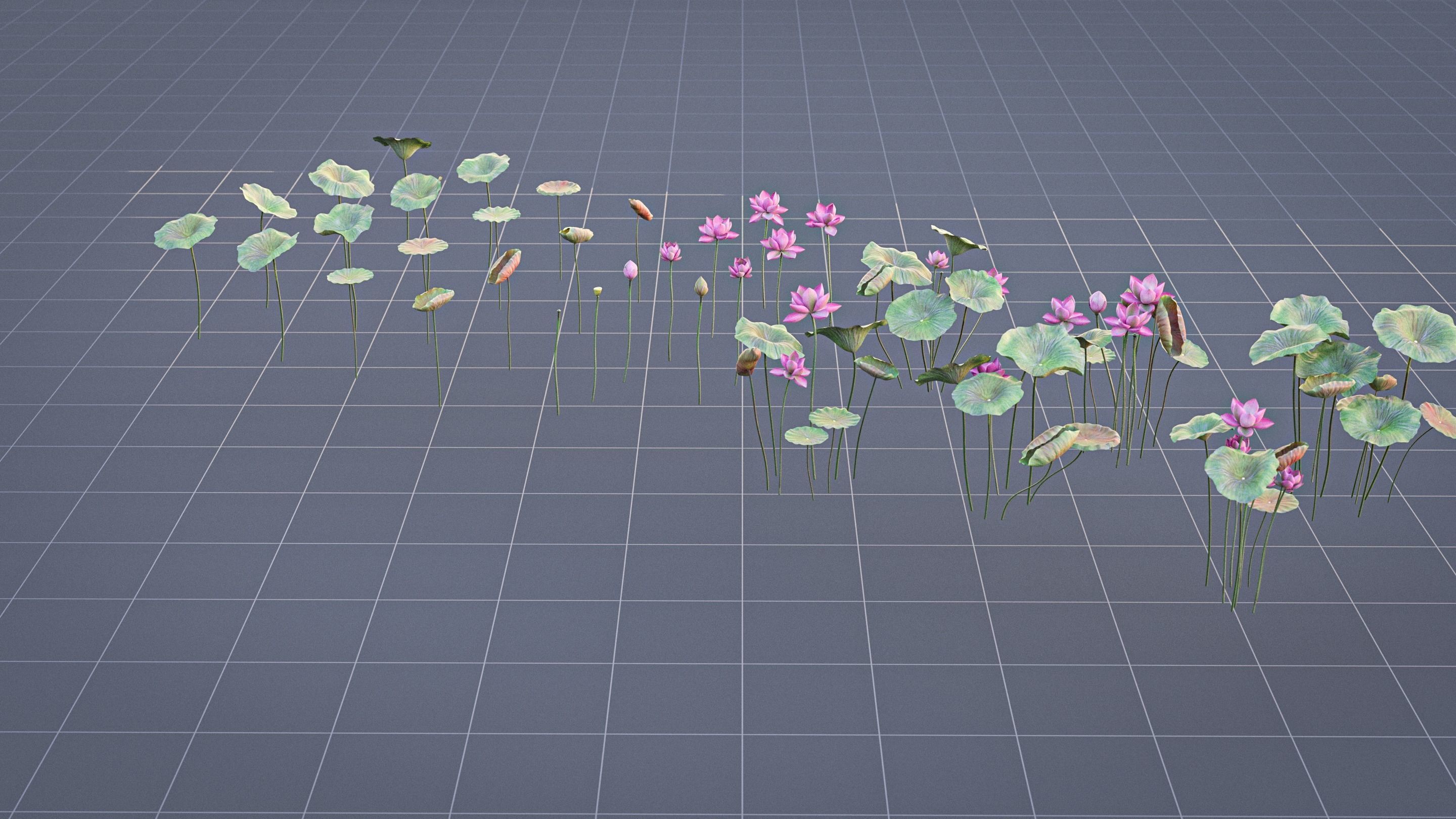 3D model Realistic Lotus Art VR / AR / low-poly | CGTrader