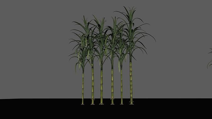 3D model Sugarcane VR / AR / low-poly | CGTrader