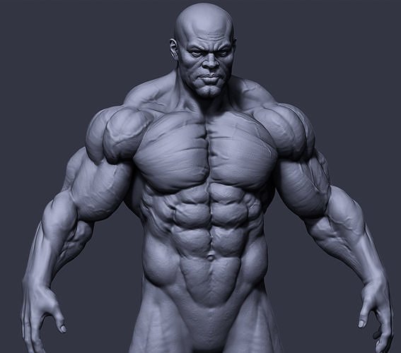 Strong Anatomy 3D model | CGTrader