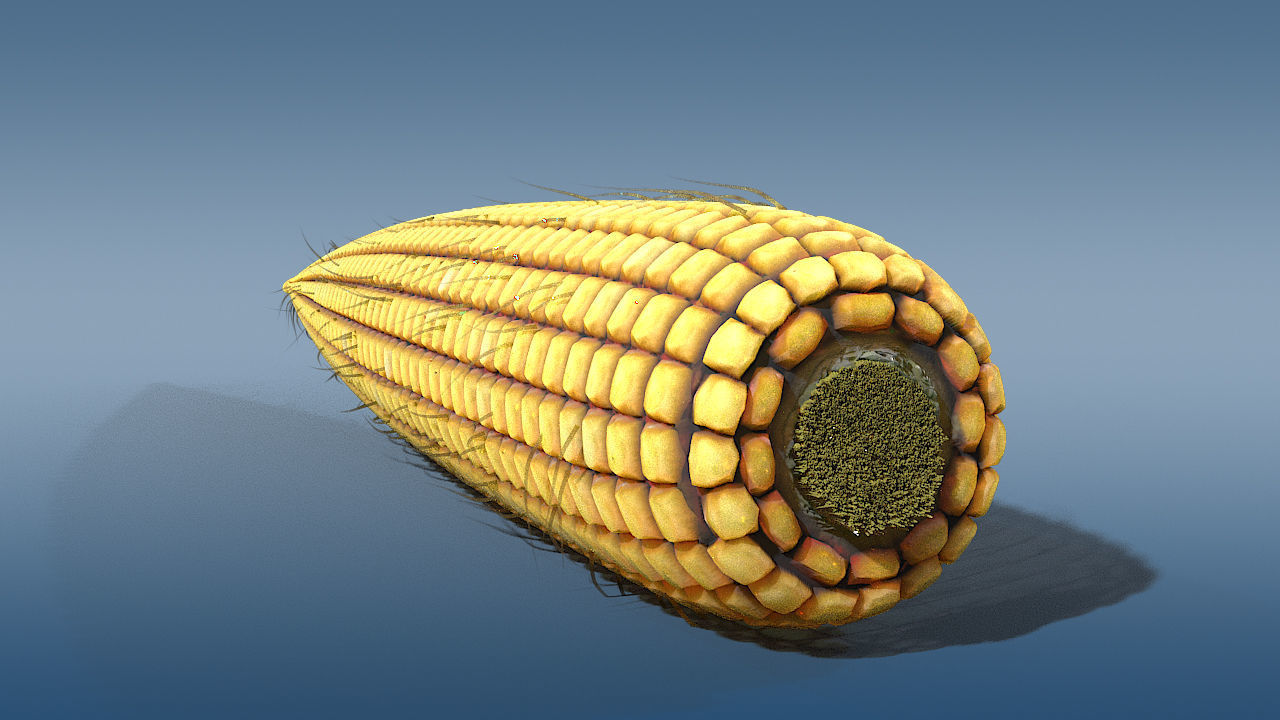 3D model old corn low poly VR / AR / low-poly | CGTrader