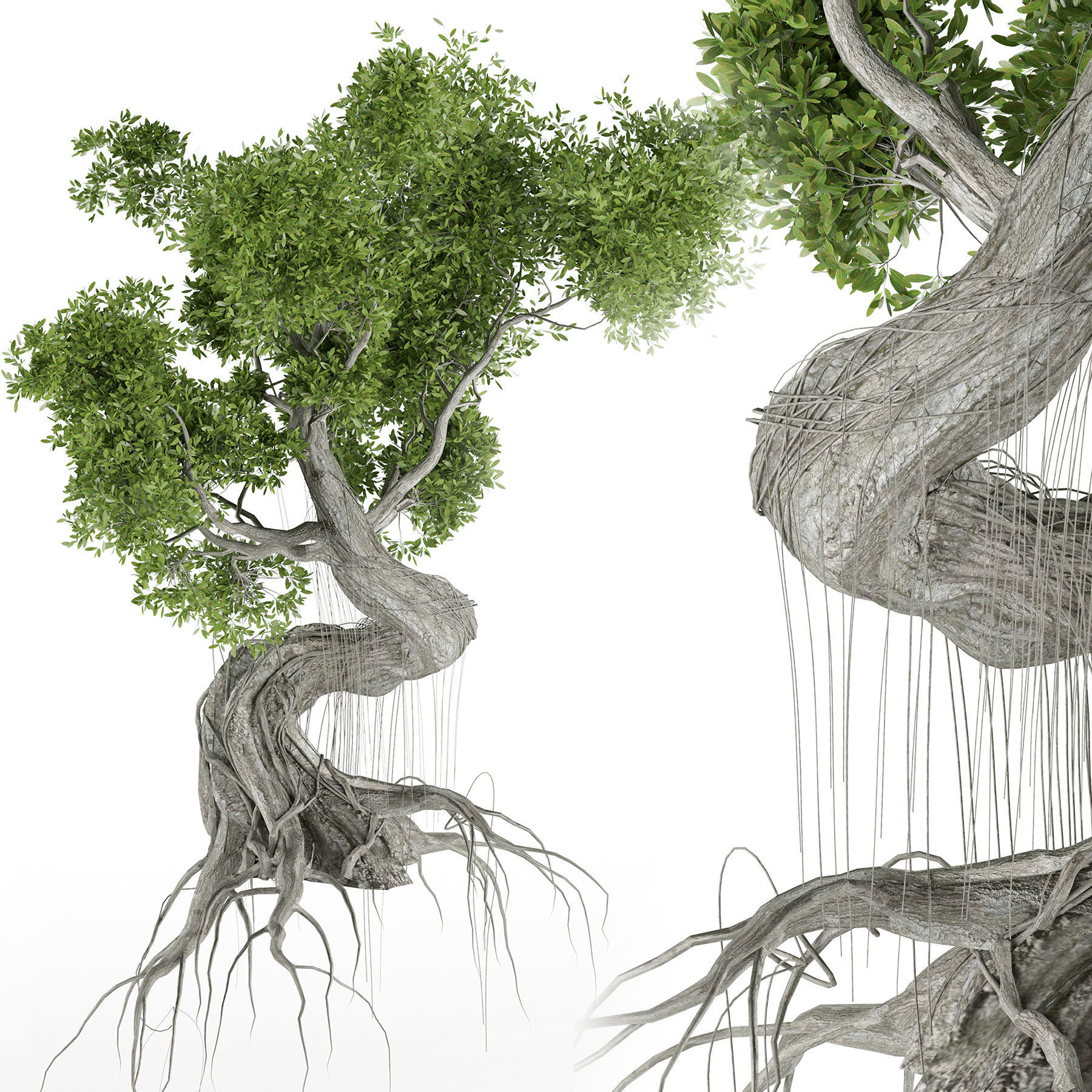 Stylized Tree 3D model | CGTrader