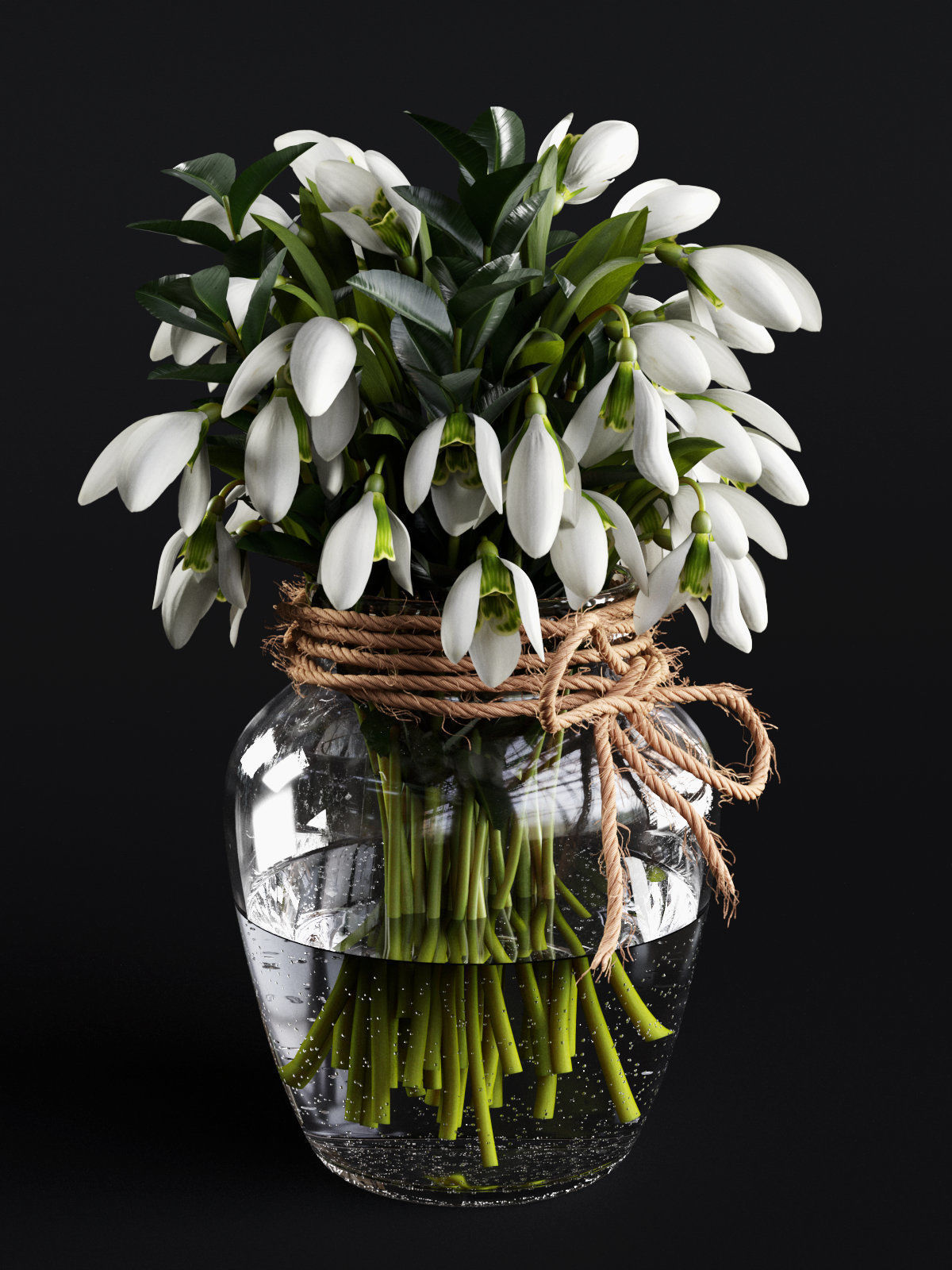 Snowdrop Plant 3D model | CGTrader