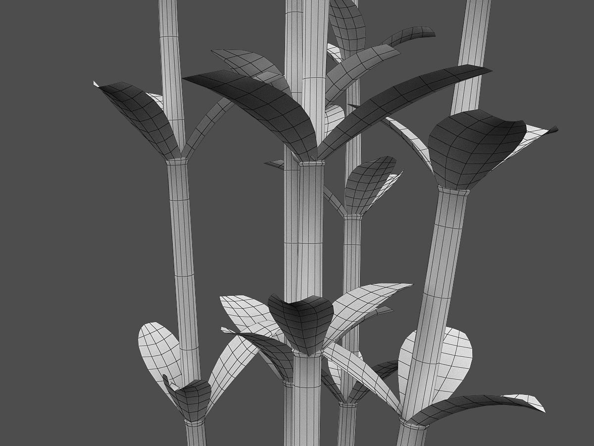 Cilantro Om free 3D model | CGTrader