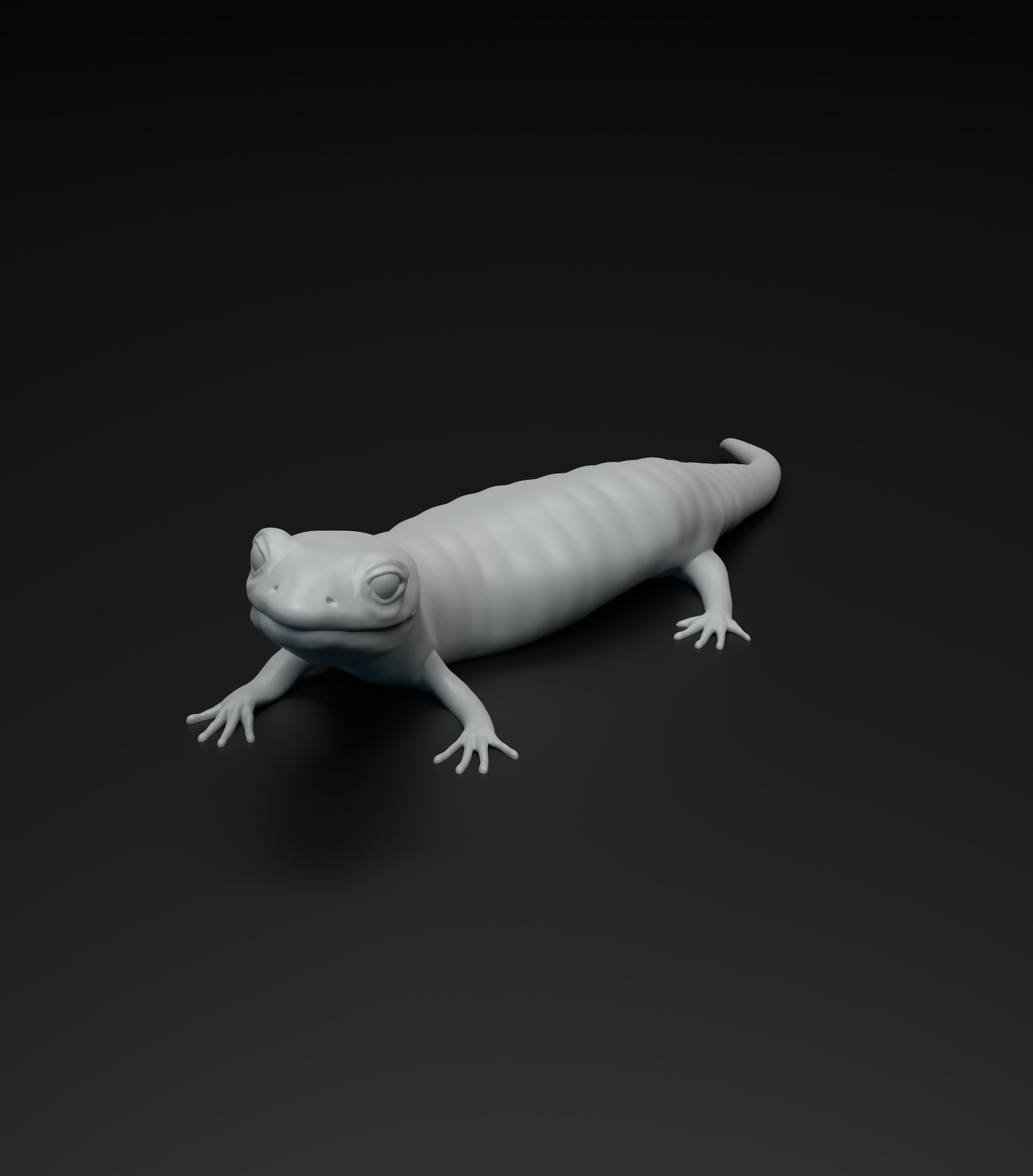 Salamander model intended for 3D printing 3D model 3D printable | CGTrader