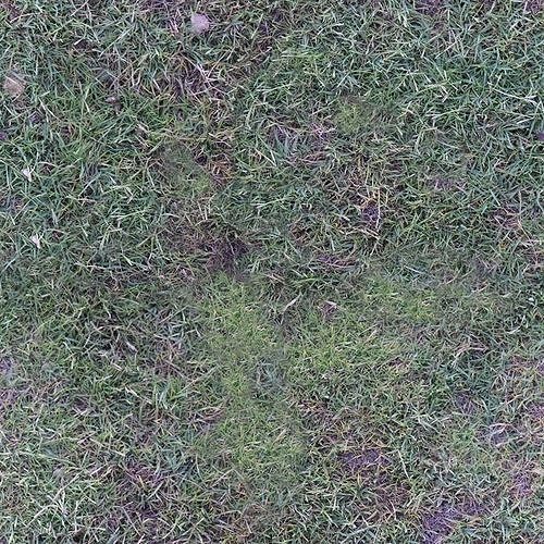 grass PBR texture Texture | CGTrader