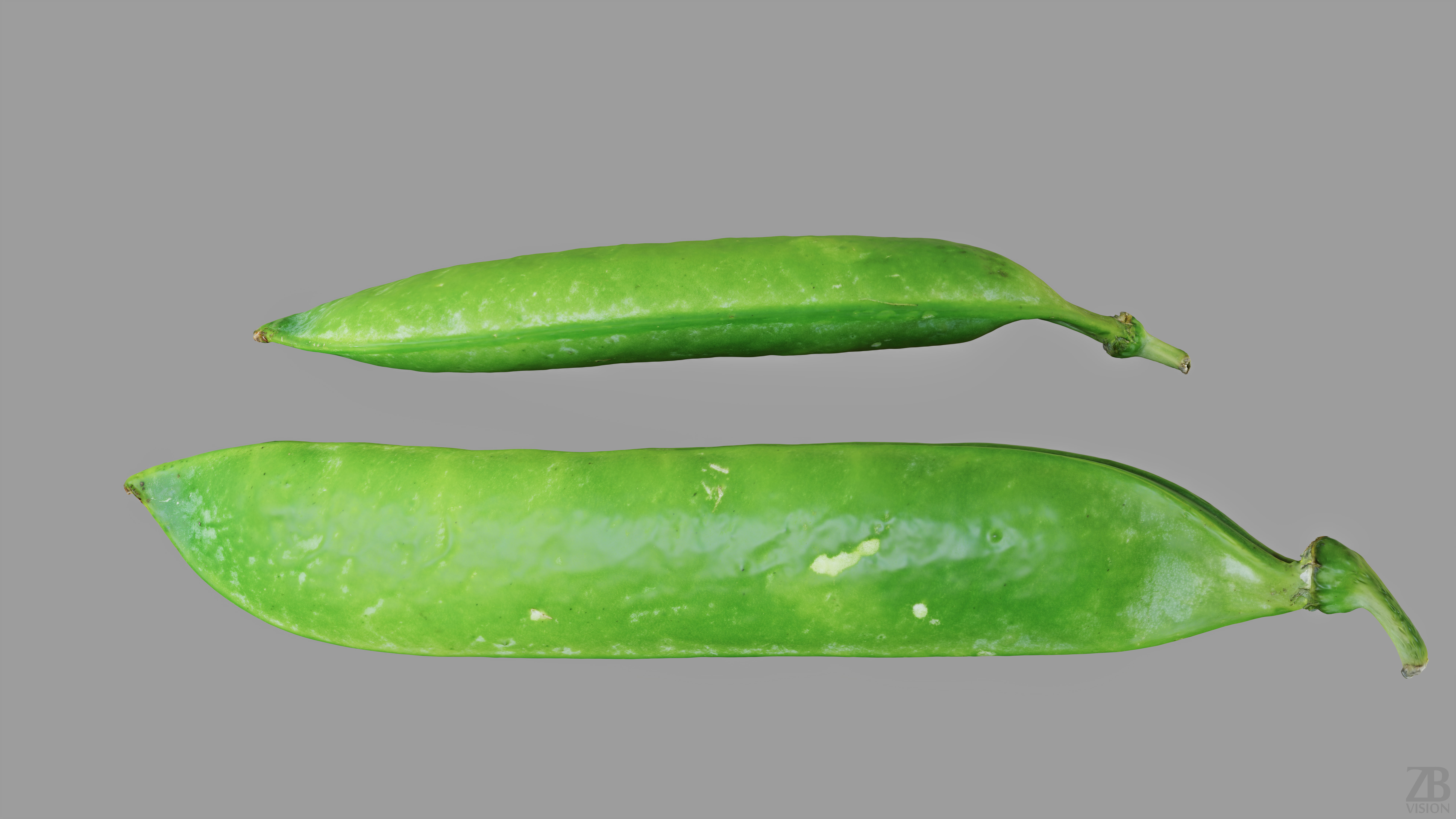 Pea pod 001 3D model | CGTrader
