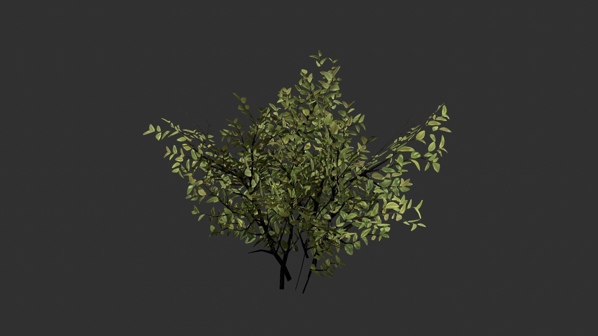 3D model Bush VR / AR / low-poly | CGTrader