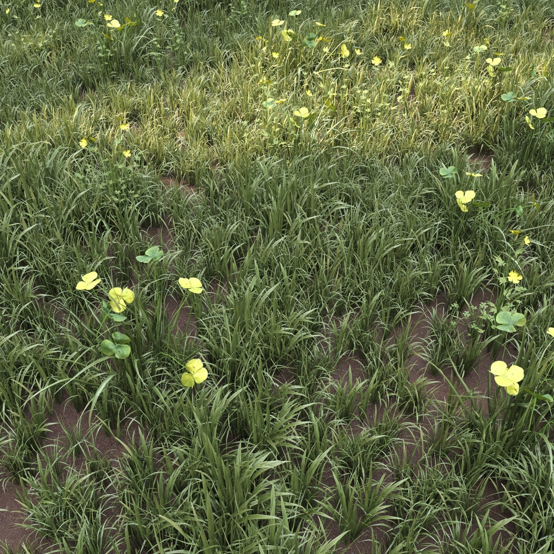 grass for landscape 10 with corona scatter 3D model | CGTrader