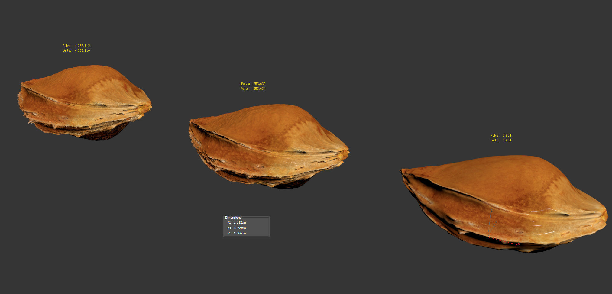 Apricot pit 3D model | CGTrader