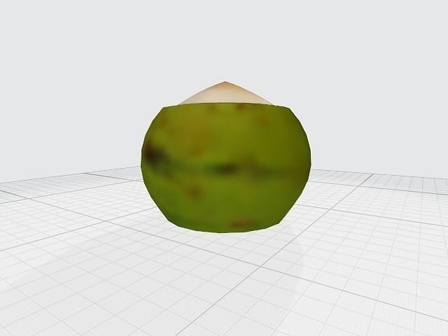 coconut free 3D model | CGTrader