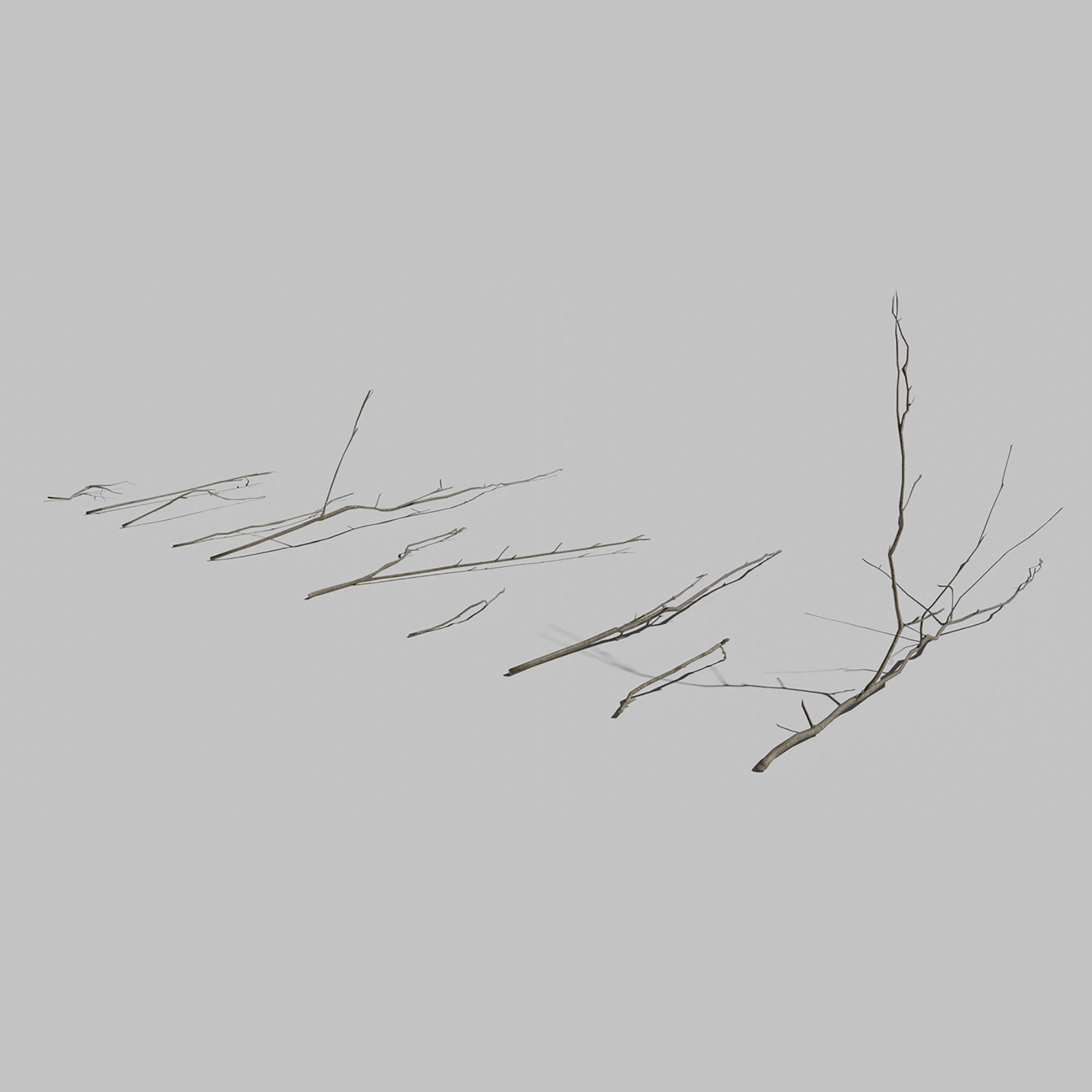 3D model Mountain Ash Twigs VR / AR / low-poly | CGTrader
