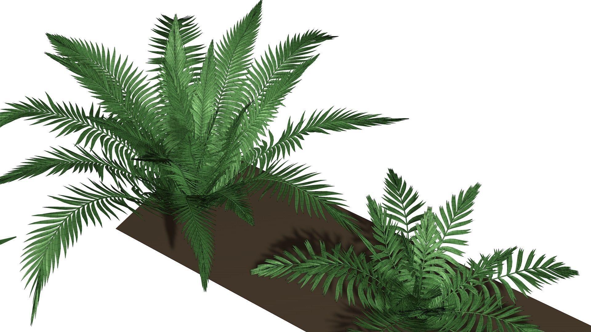 Herbage Various Set - 2 3D model | CGTrader