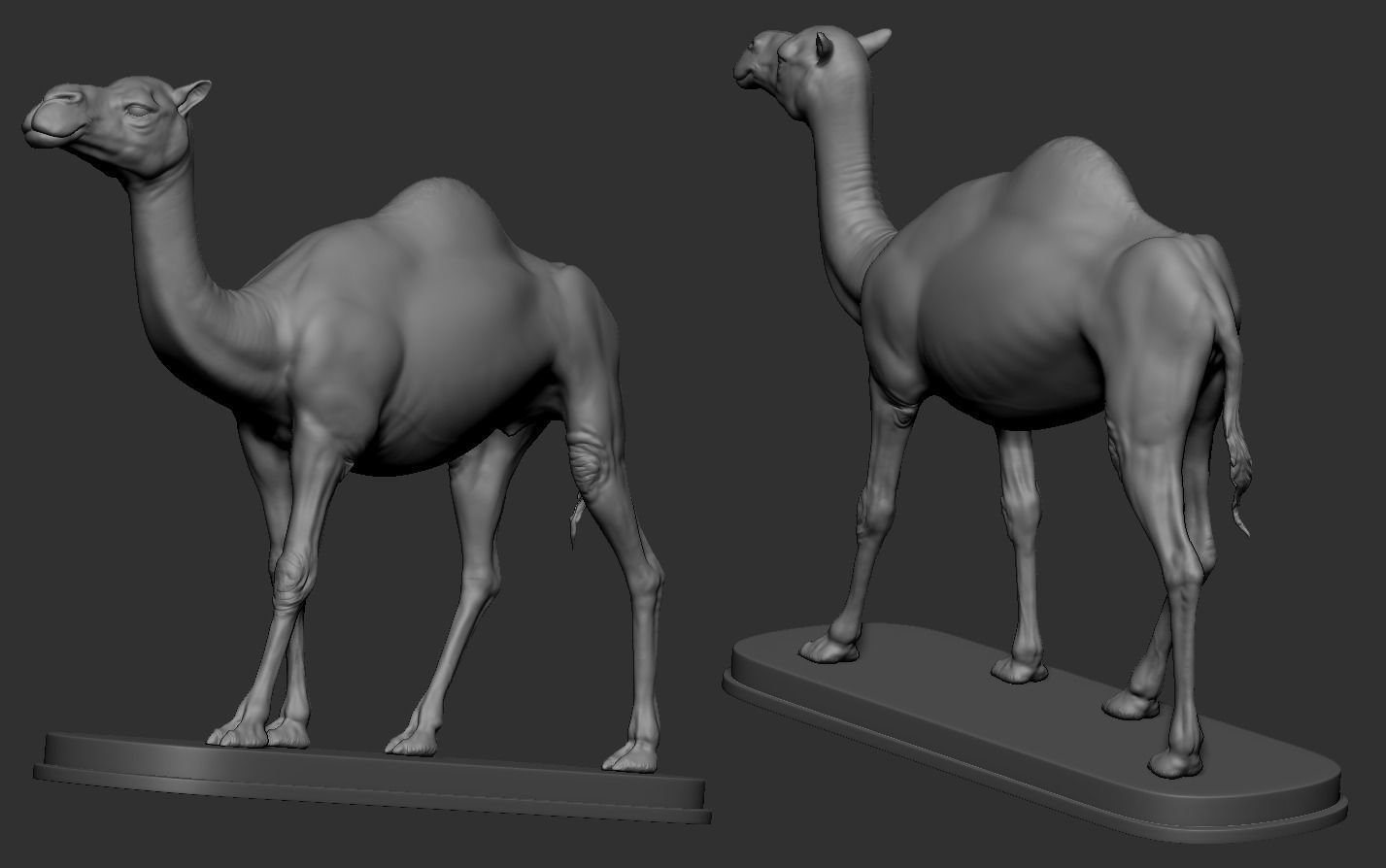 Camel 3D model 3D printable | CGTrader