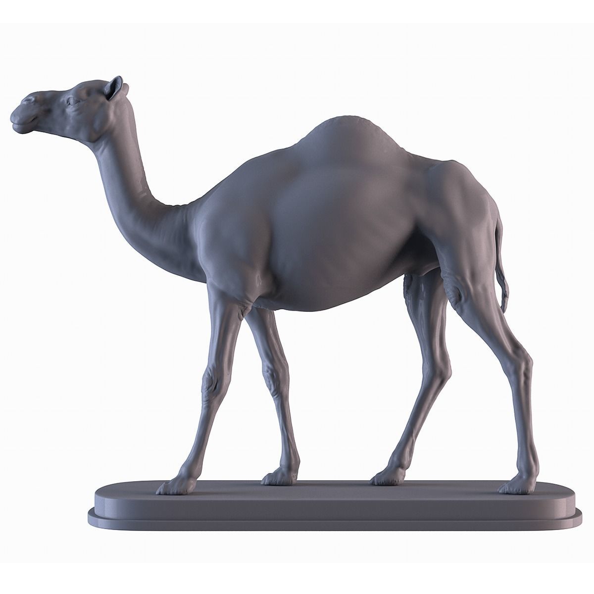 Camel 3D model 3D printable | CGTrader