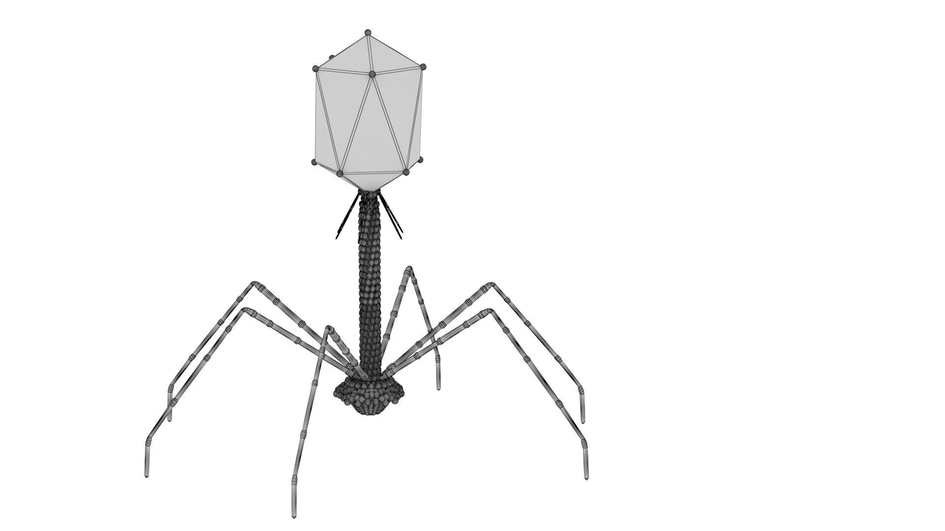 Bacteriophage T4 3D model | CGTrader
