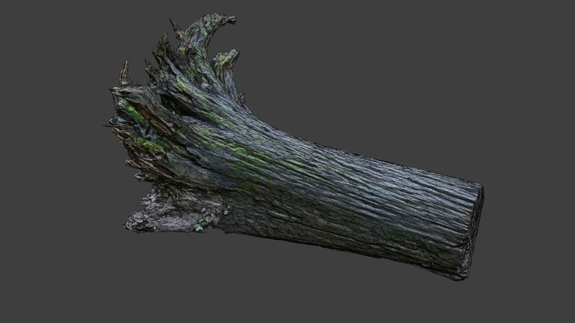 3D model Old Rotten Fallen Tree 3D Scanned VR / AR / low-poly | CGTrader