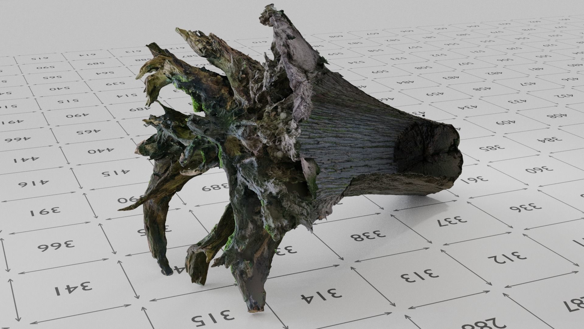 3D model Old Rotten Fallen Tree 3D Scanned VR / AR / low-poly | CGTrader