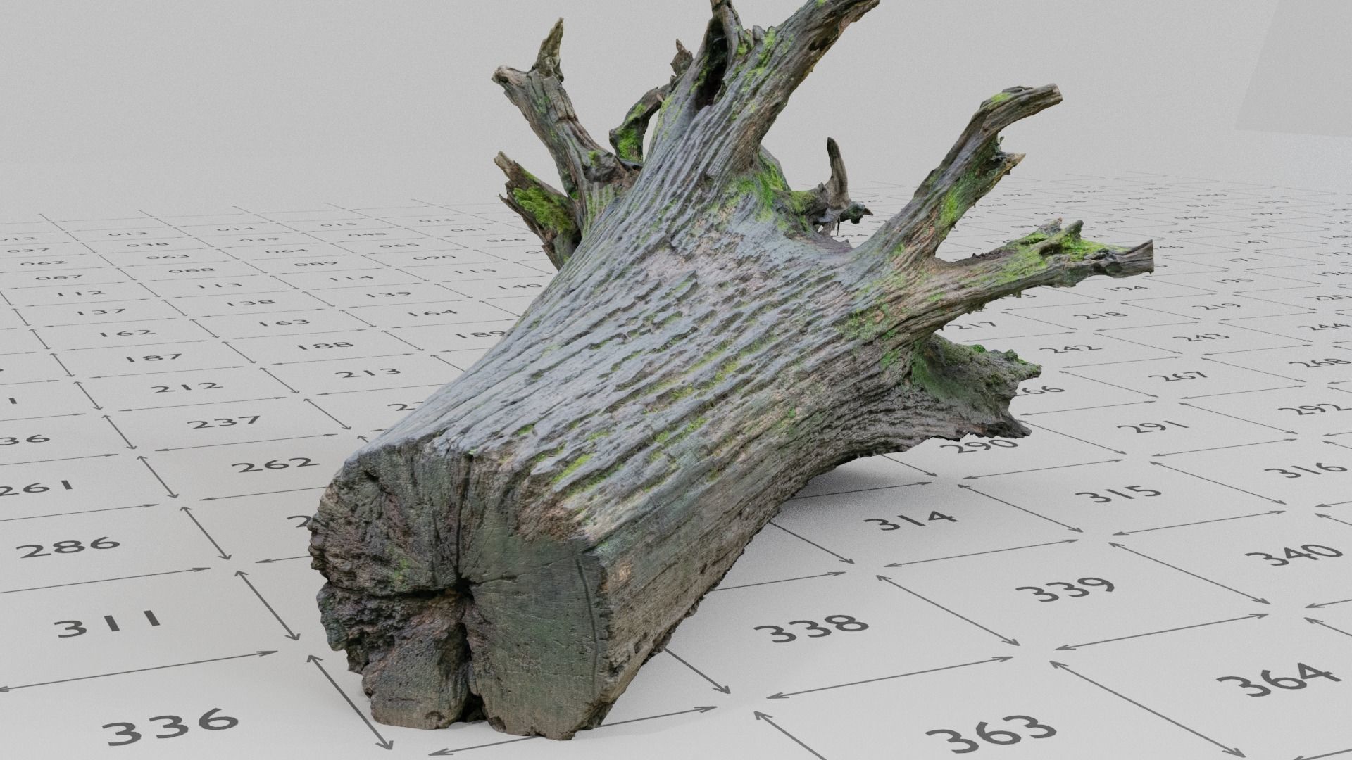3D model Old Rotten Fallen Tree 3D Scanned VR / AR / low-poly | CGTrader