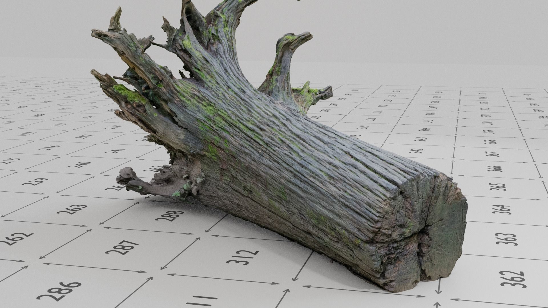 3D model Old Rotten Fallen Tree 3D Scanned VR / AR / low-poly | CGTrader