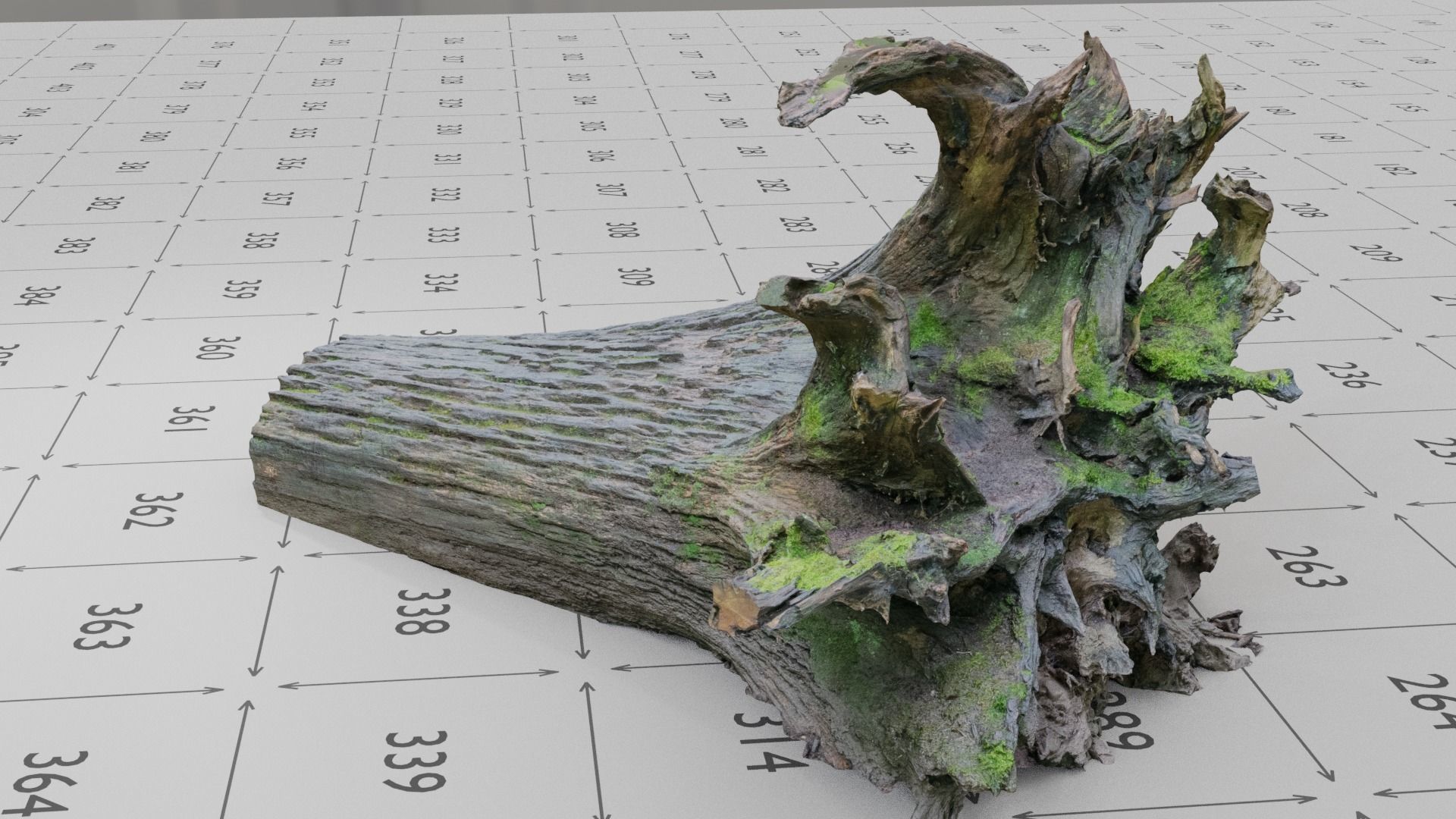 3D model Old Rotten Fallen Tree 3D Scanned VR / AR / low-poly | CGTrader