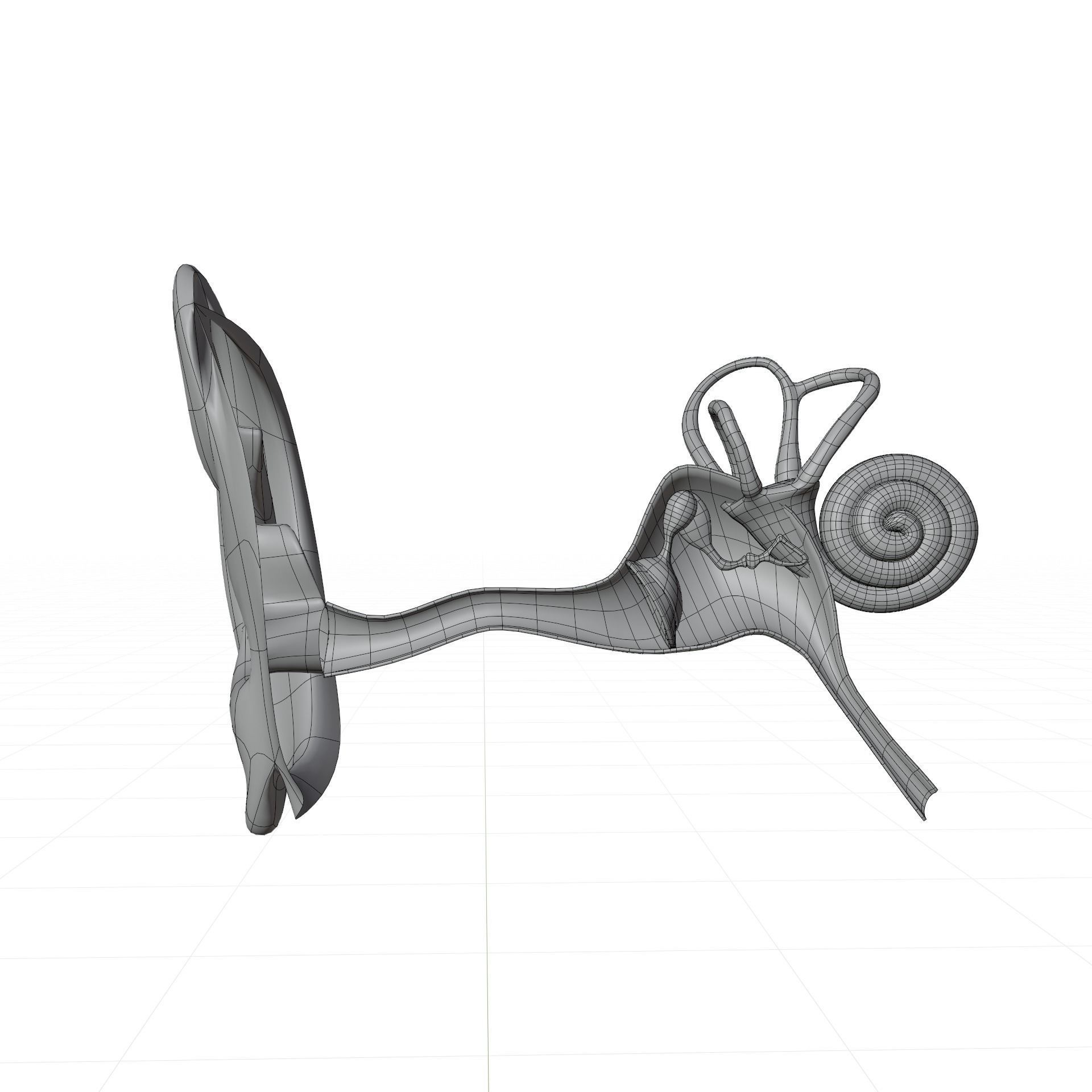 ear anatomy 3D model | CGTrader