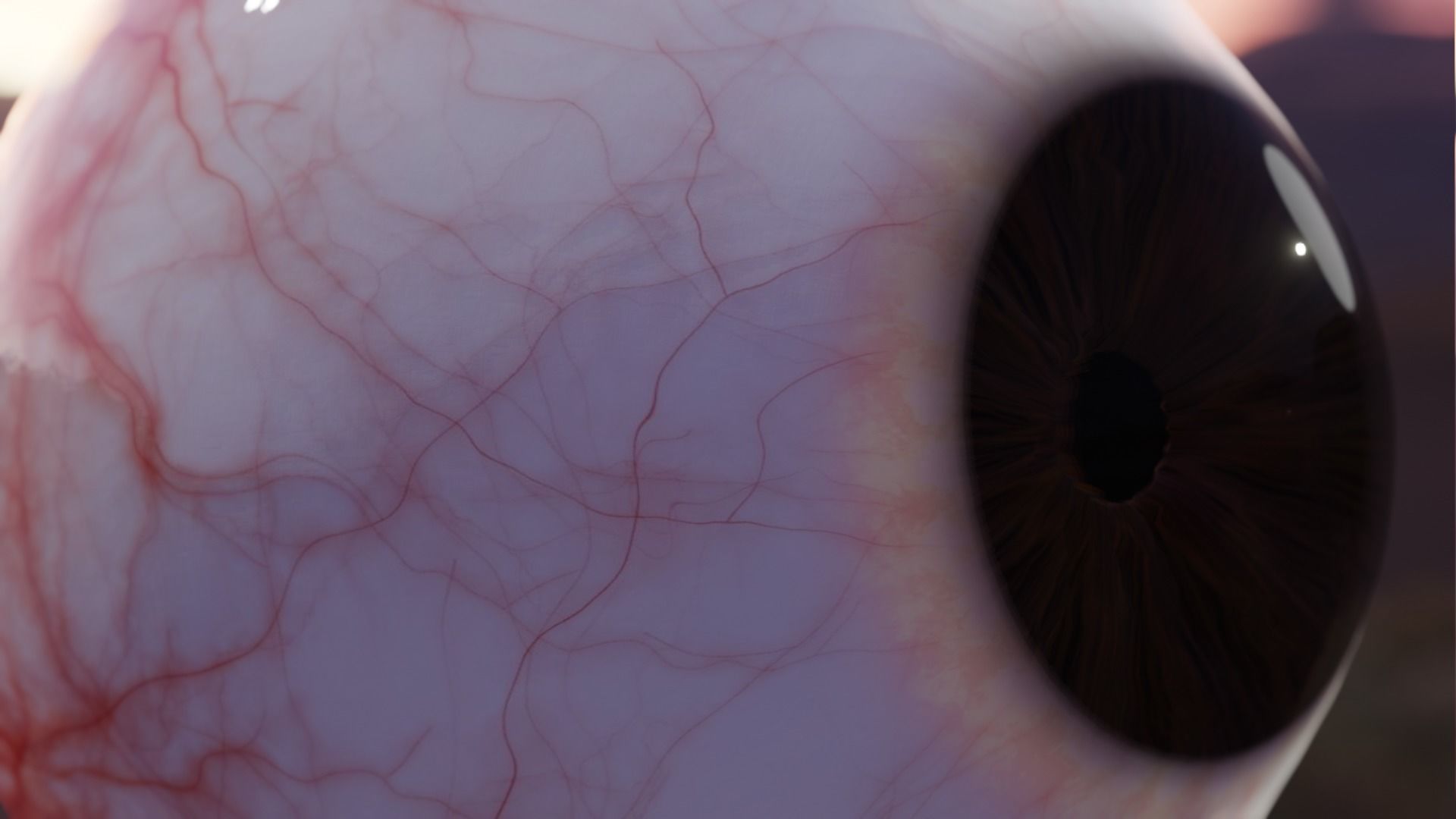 3D model Ultra Realistic Eye Ball VR / AR / low-poly | CGTrader