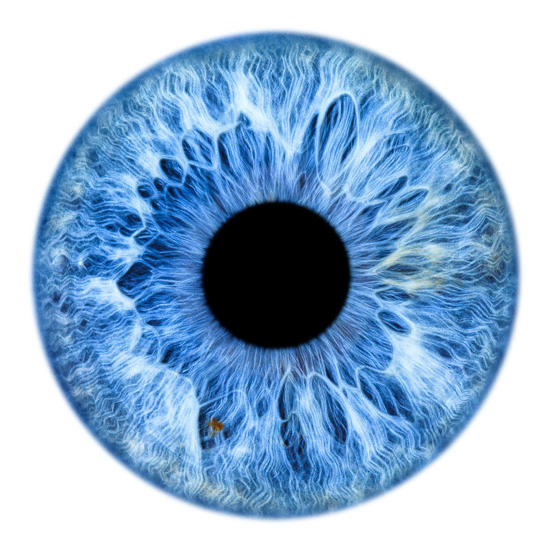 Free Human Eye 3d Model free VR / AR / low-poly 3D model | CGTrader