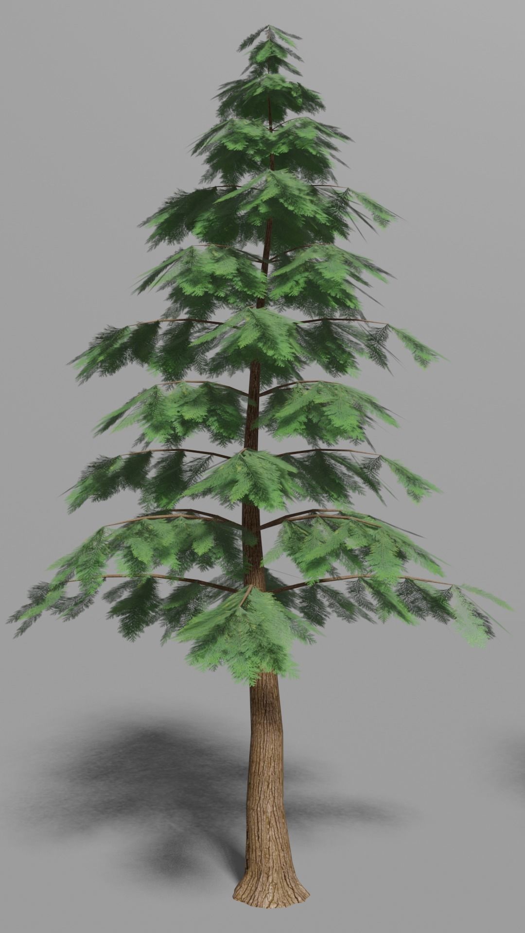 3D model Conifer - Three in One Pack - VR / AR / low-poly | CGTrader