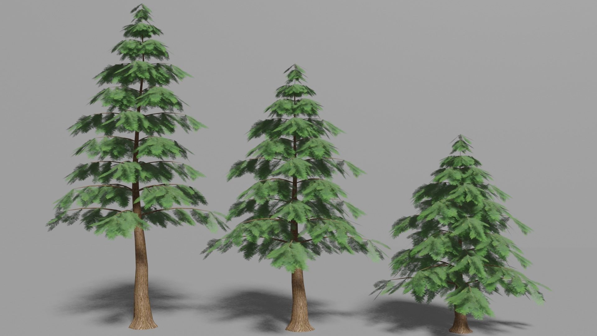 3D model Conifer - Three in One Pack - VR / AR / low-poly | CGTrader