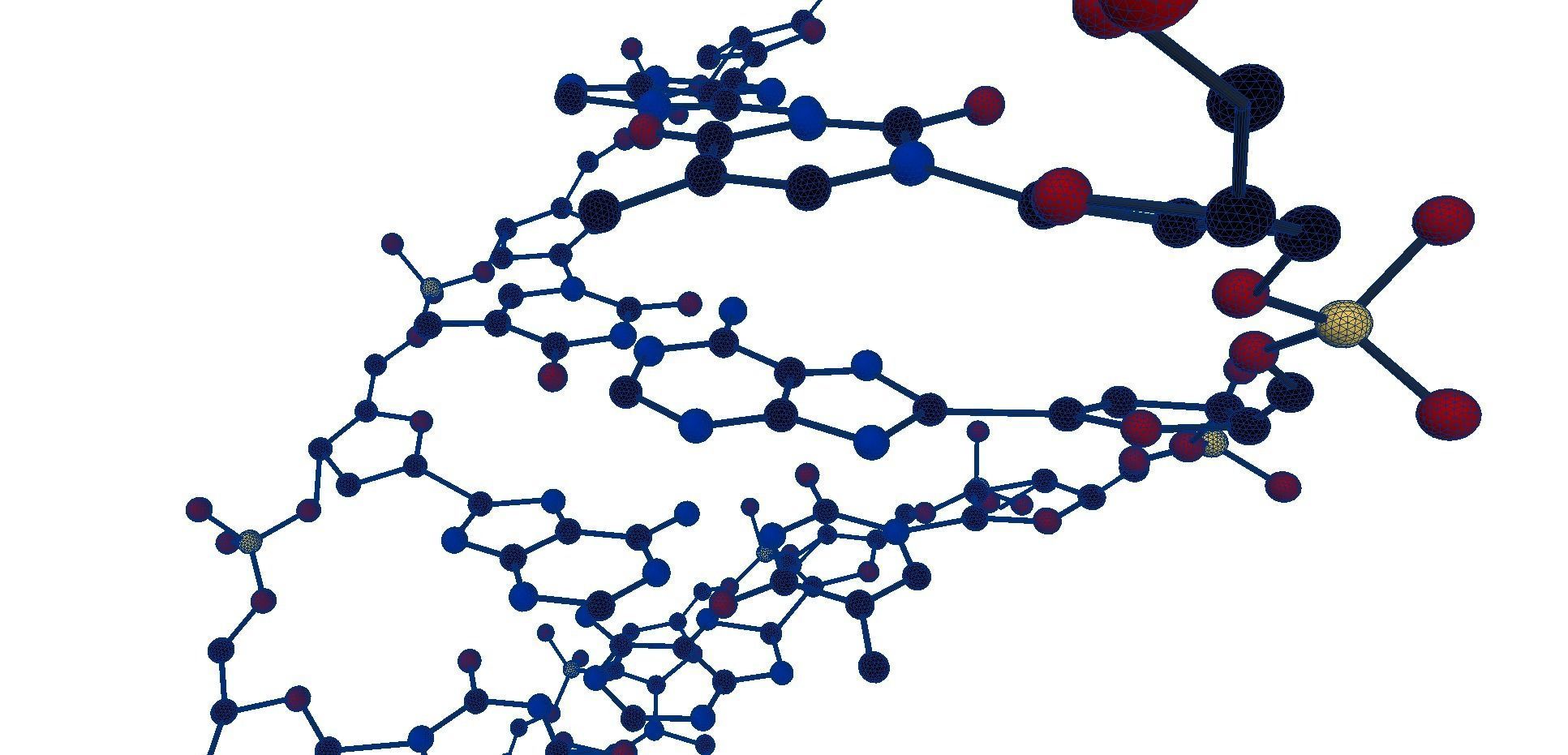 DNA double helix 3D model | CGTrader