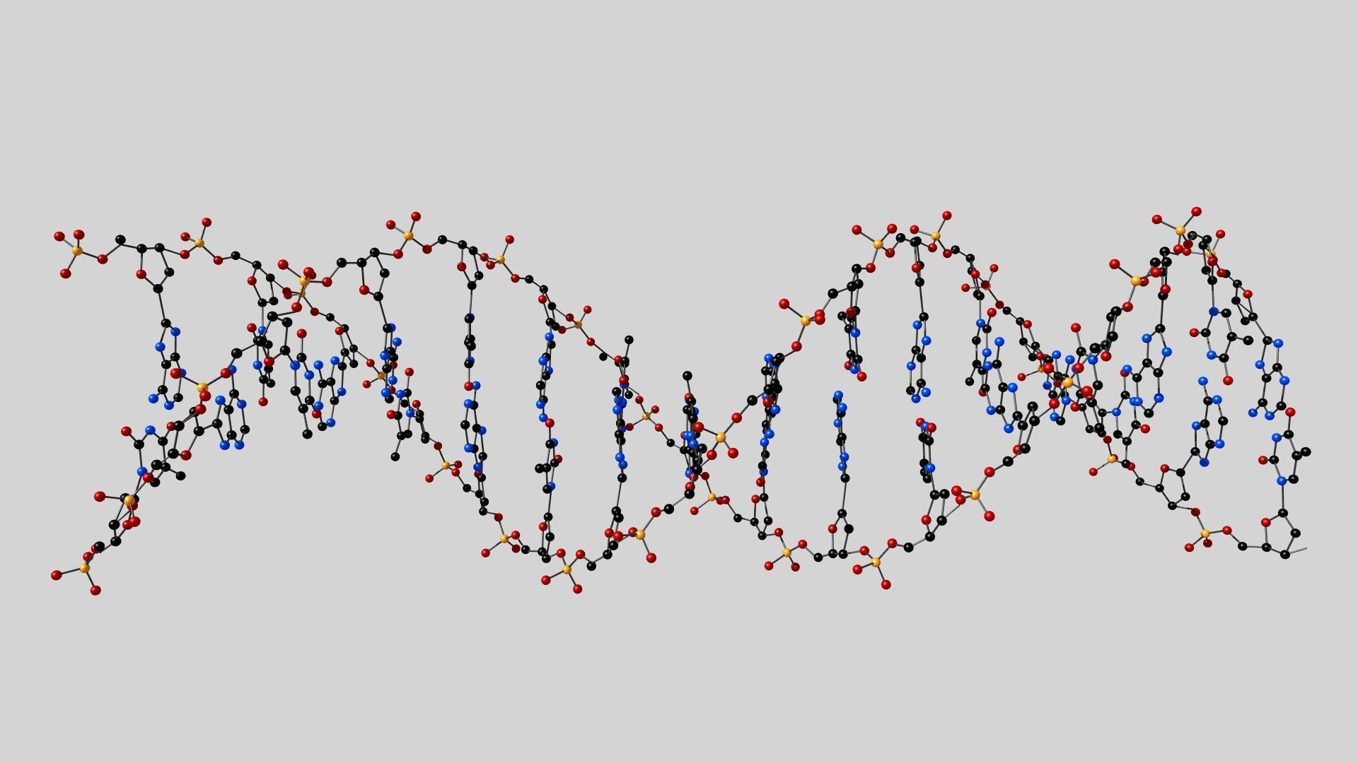 DNA double helix 3D model | CGTrader