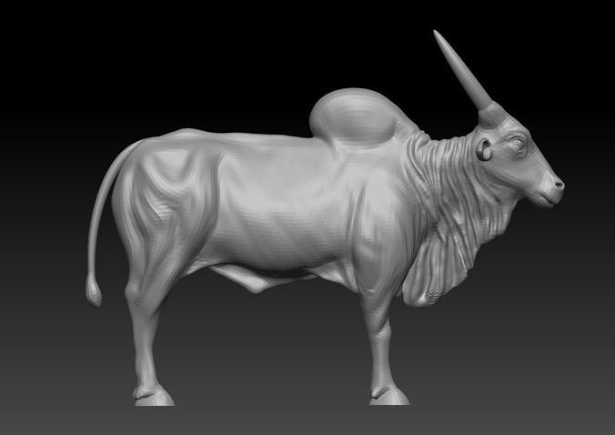 Indian Bull 3D model | CGTrader