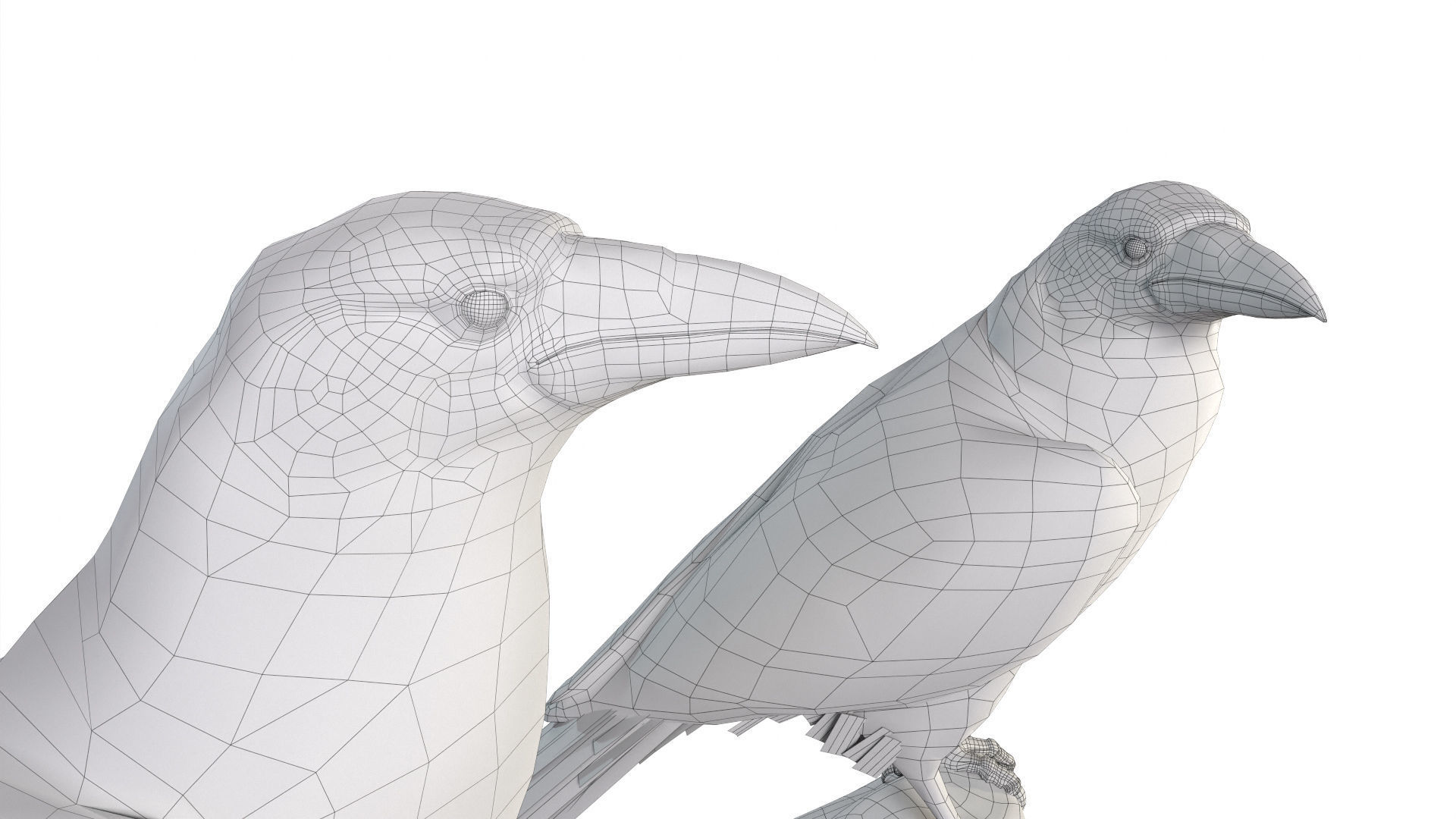 Raven 3D model | CGTrader