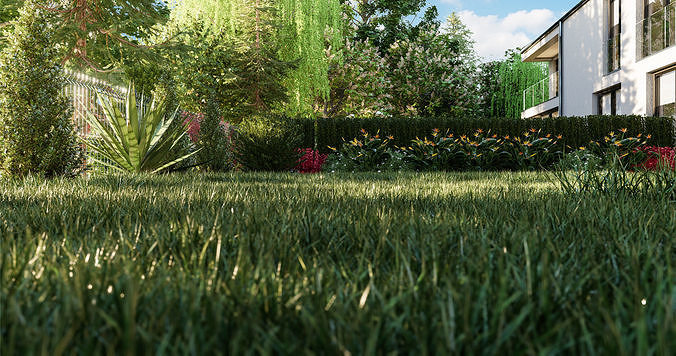 D5 render exterior scene 3D model 3D model animated | CGTrader