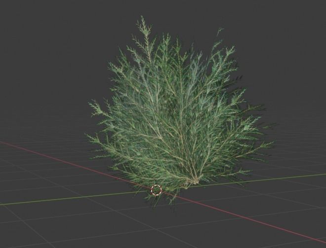 5 Basic Low Poly Desert Shrubs free VR / AR / low-poly 3D model | CGTrader