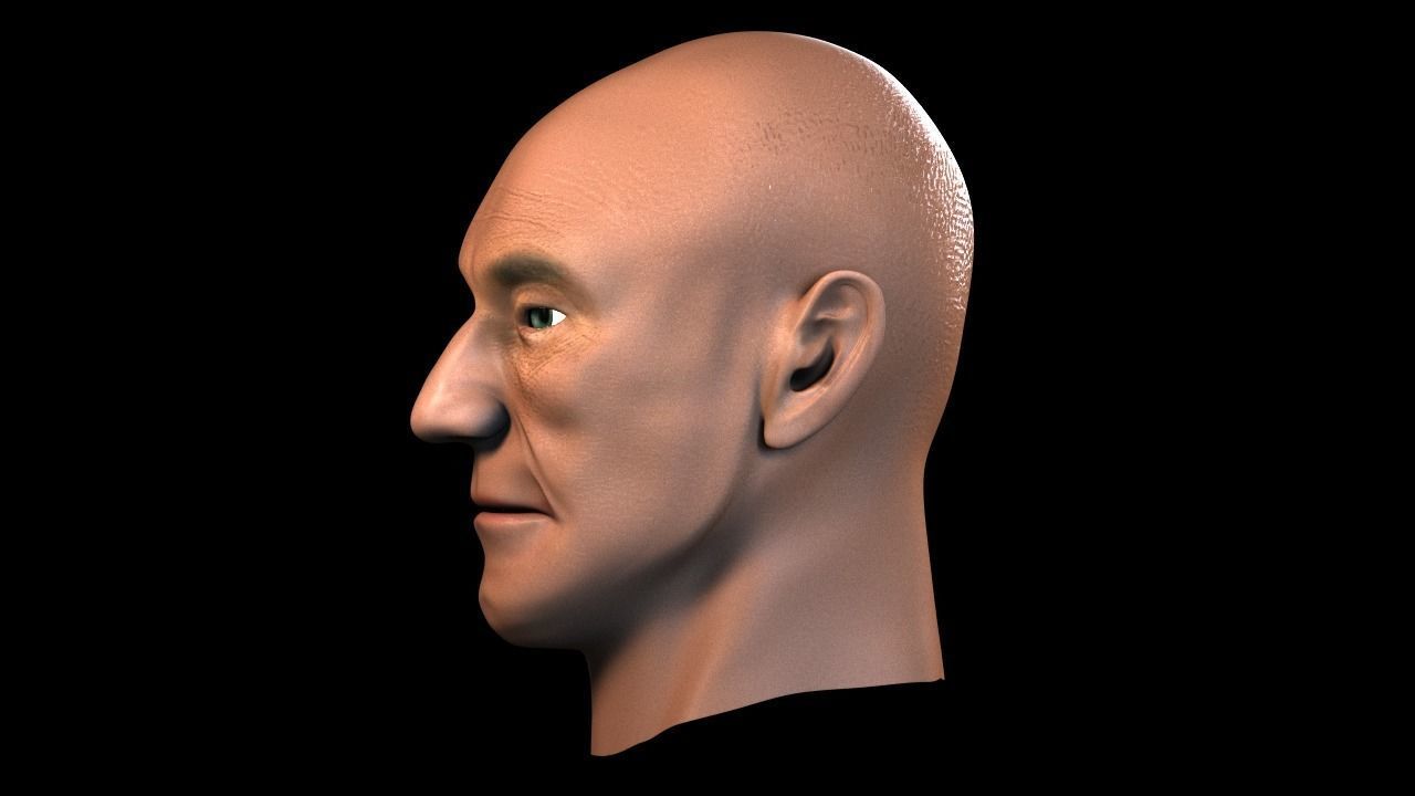 patrick stewart 3d model low poly high quality free VR / AR / low-poly ...