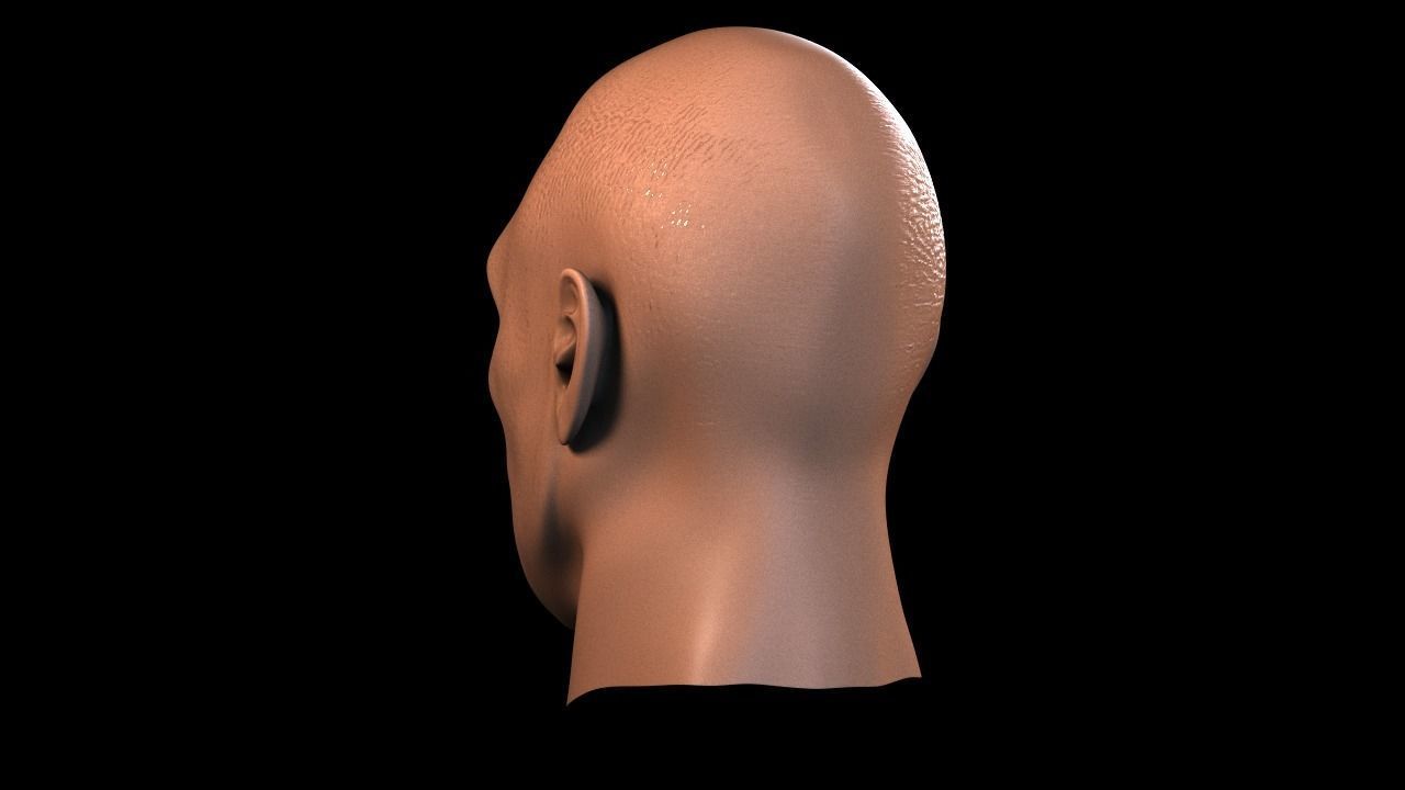 patrick stewart 3d model low poly high quality free VR / AR / low-poly 3D model animated | CGTrader