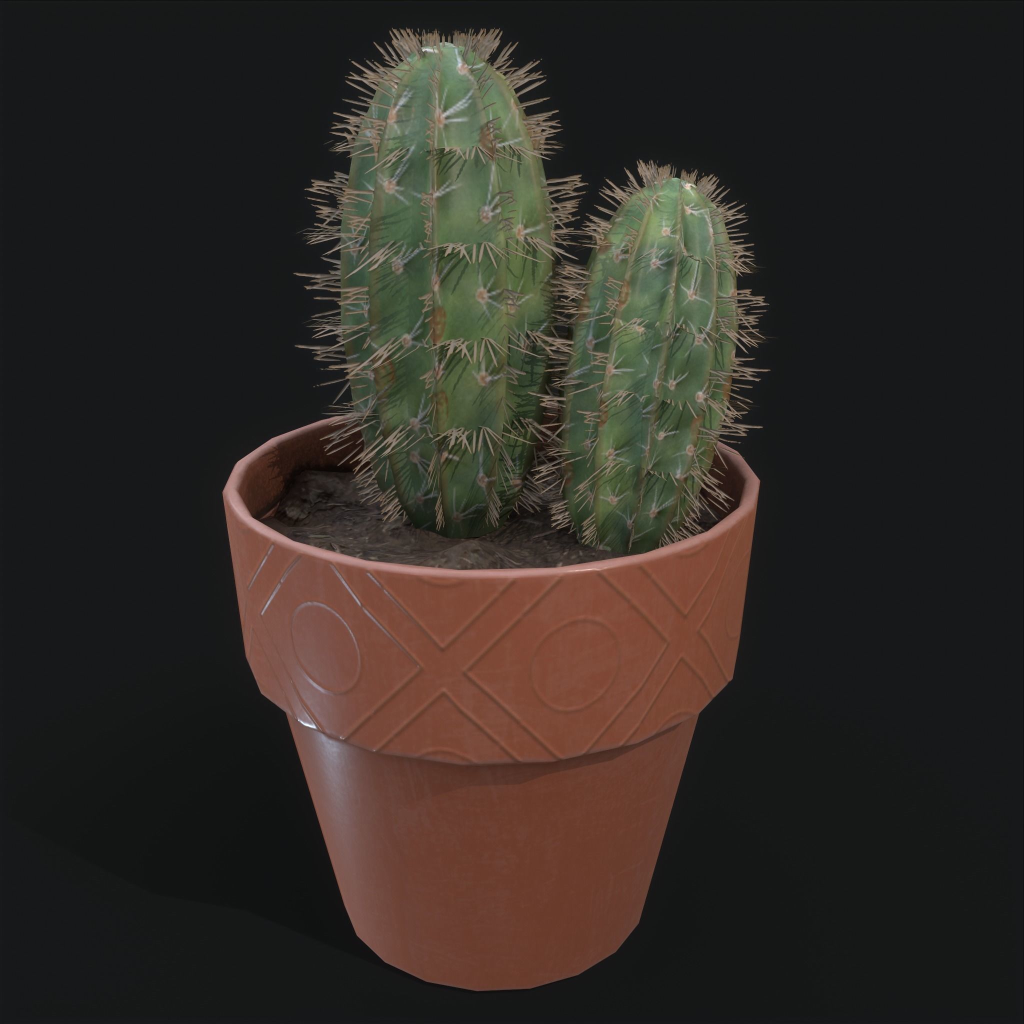 3D model Cactus VR / AR / low-poly | CGTrader