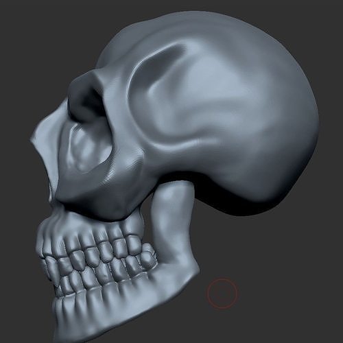 Stylized skull 3D model | CGTrader