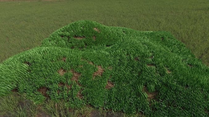 Grass hill in middle of rice field free 3D model | CGTrader