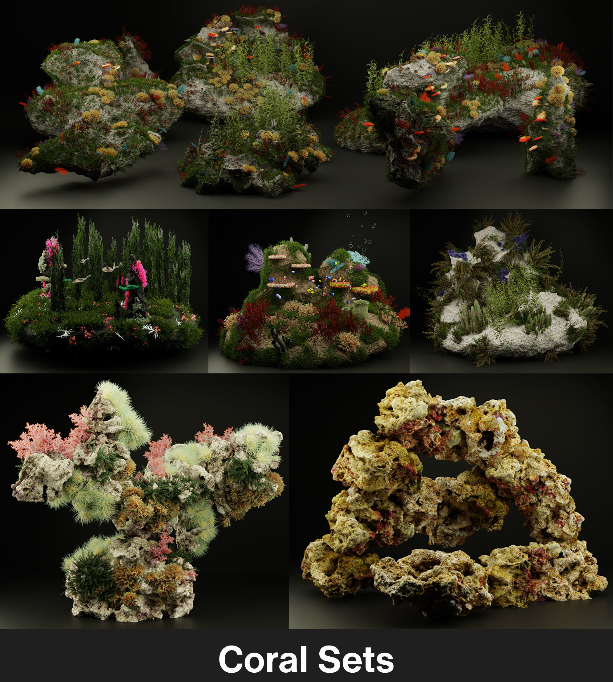 The Coral And Creatures Collection 3D model animated rigged | CGTrader