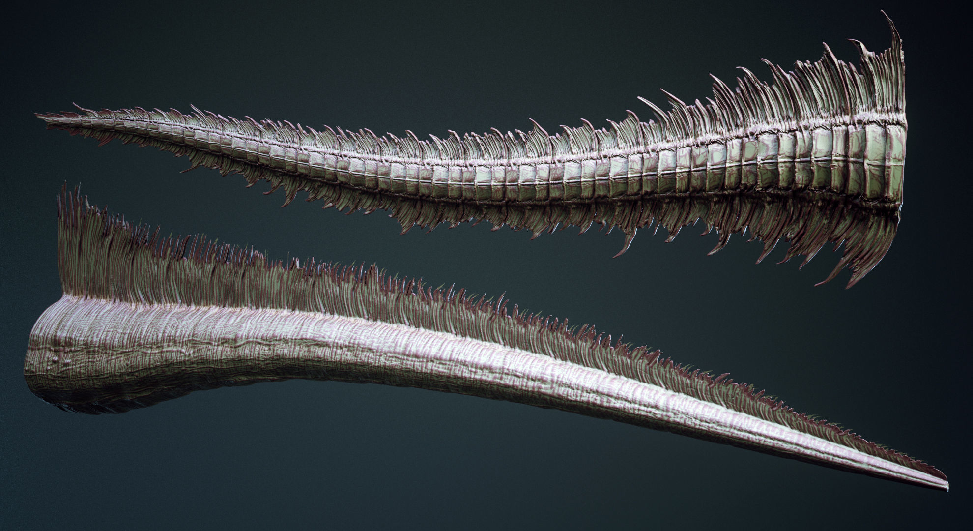 TAILS - 33 Tail Meshes and Curve Brushes 3D model | CGTrader