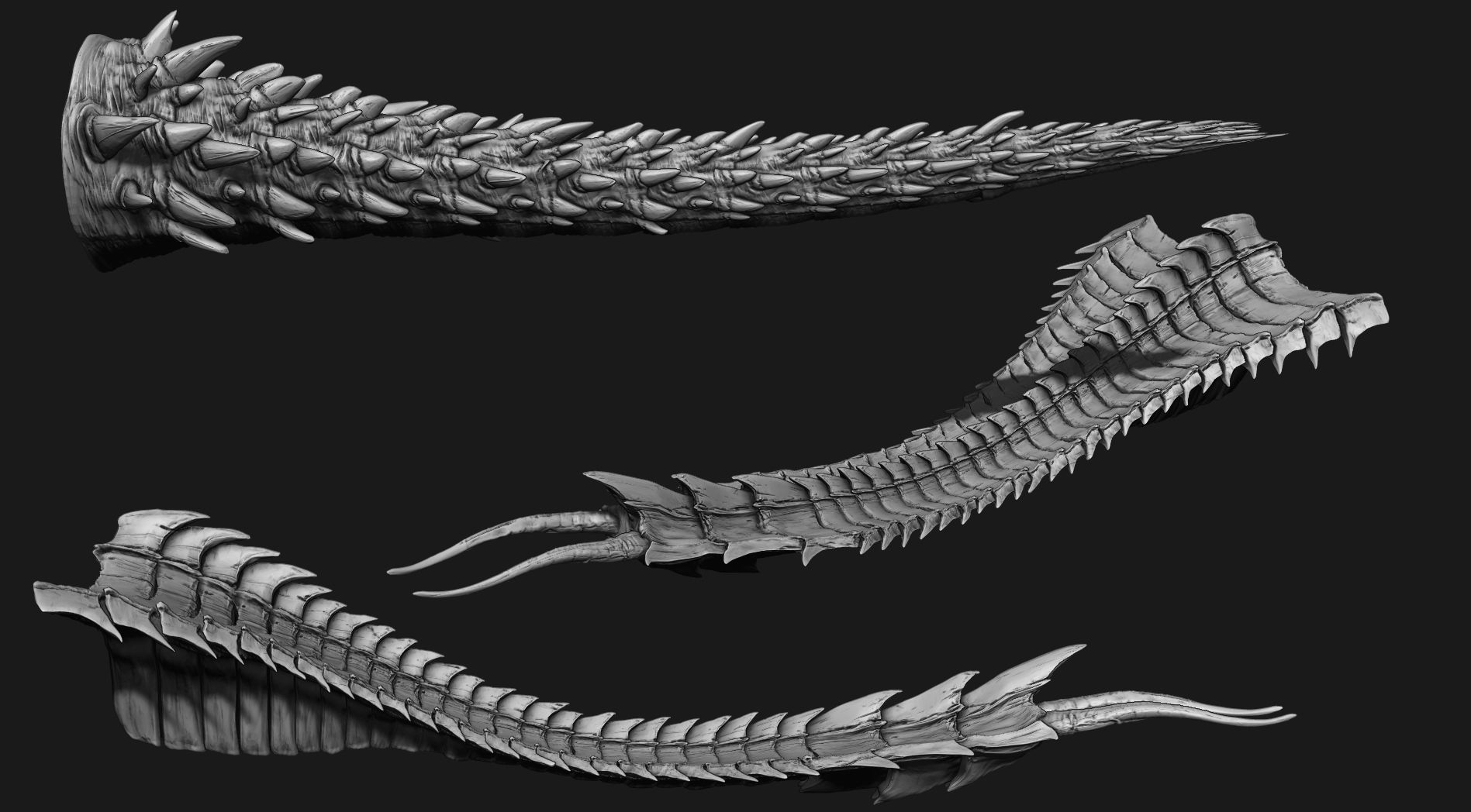 TAILS - 33 Tail Meshes and Curve Brushes 3D model | CGTrader