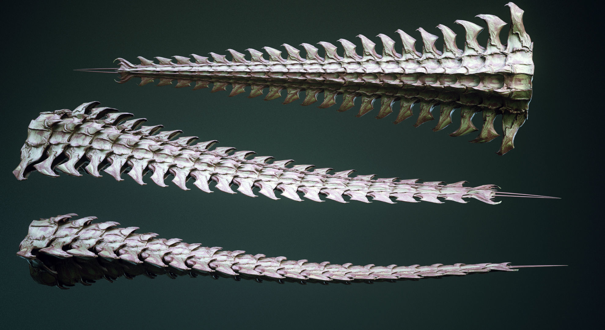 TAILS - 33 Tail Meshes and Curve Brushes 3D model | CGTrader