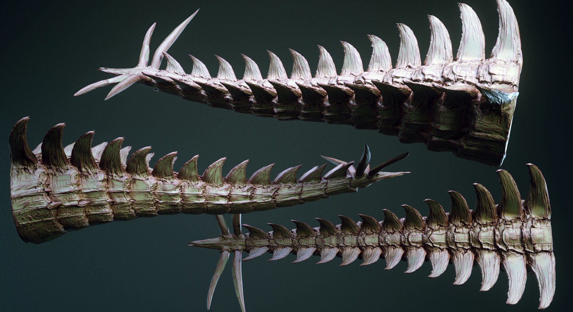 TAILS - 33 Tail Meshes and Curve Brushes 3D model | CGTrader