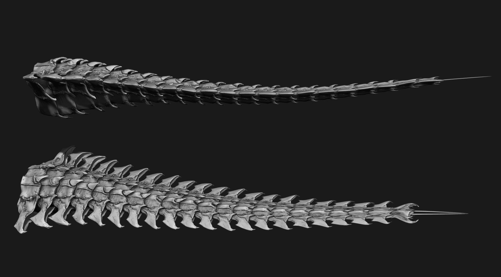 TAILS - 33 Tail Meshes and Curve Brushes 3D model | CGTrader