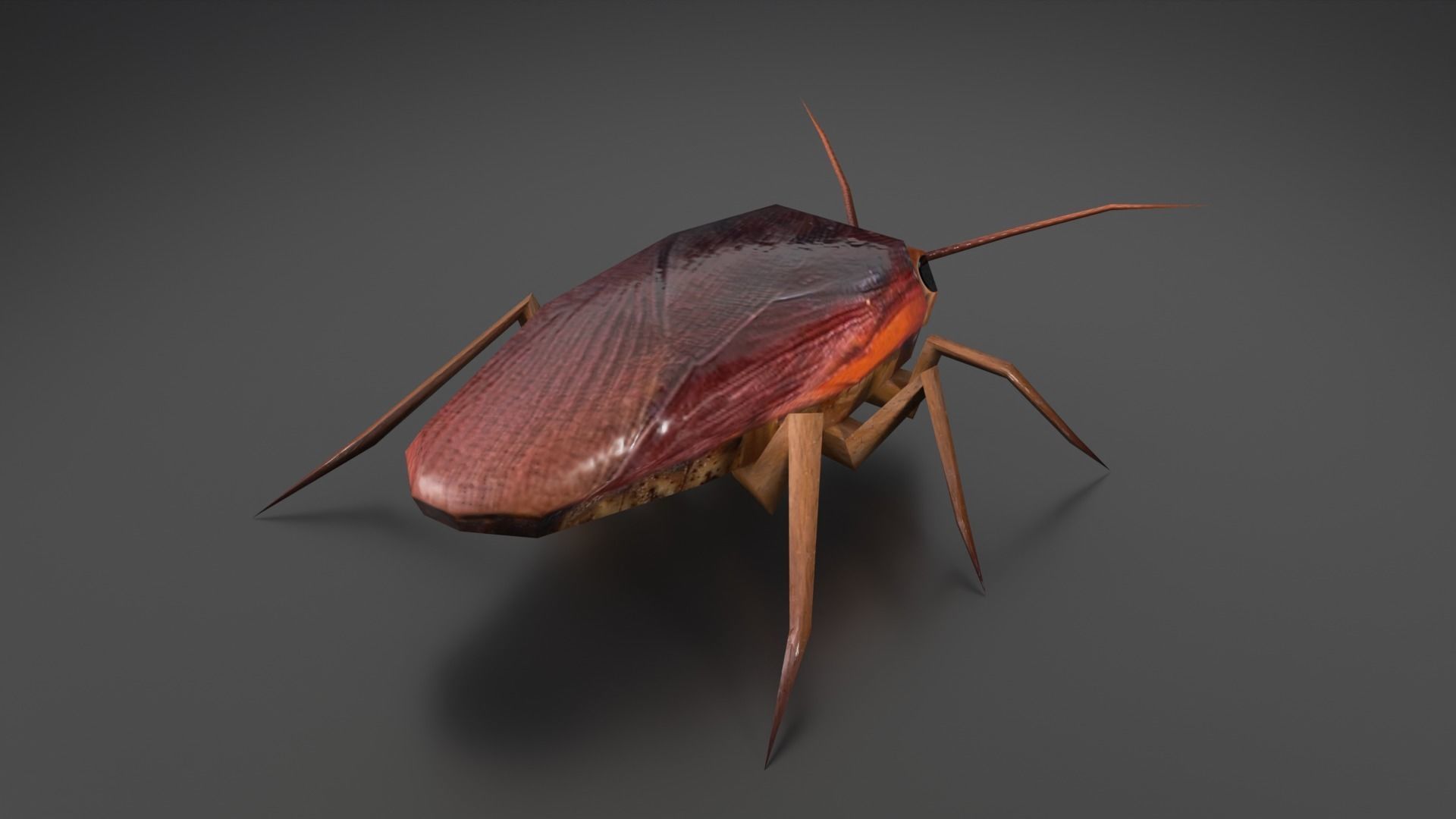 3D model Cockroach VR / AR / low-poly | CGTrader