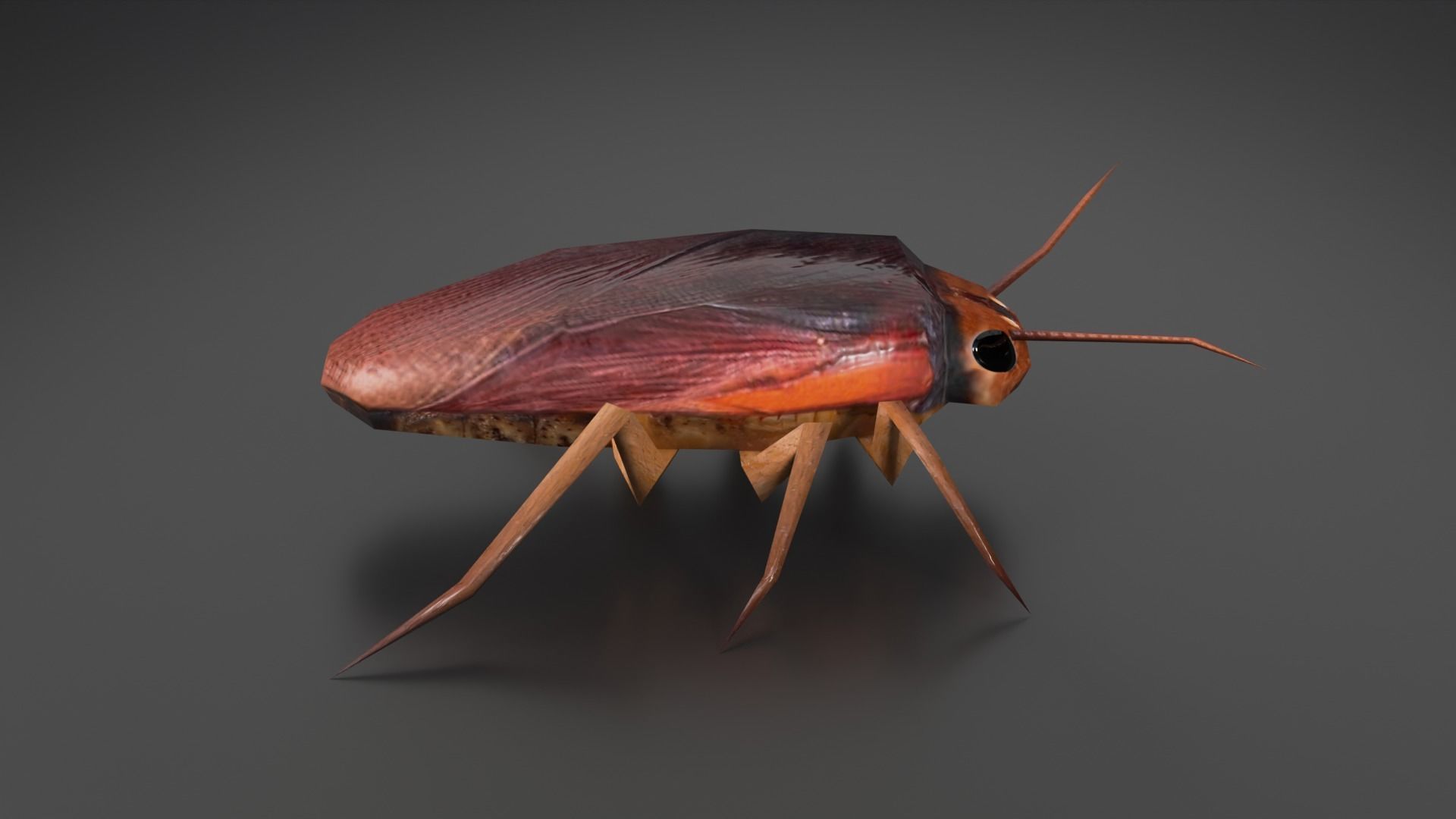 3D model Cockroach VR / AR / low-poly | CGTrader